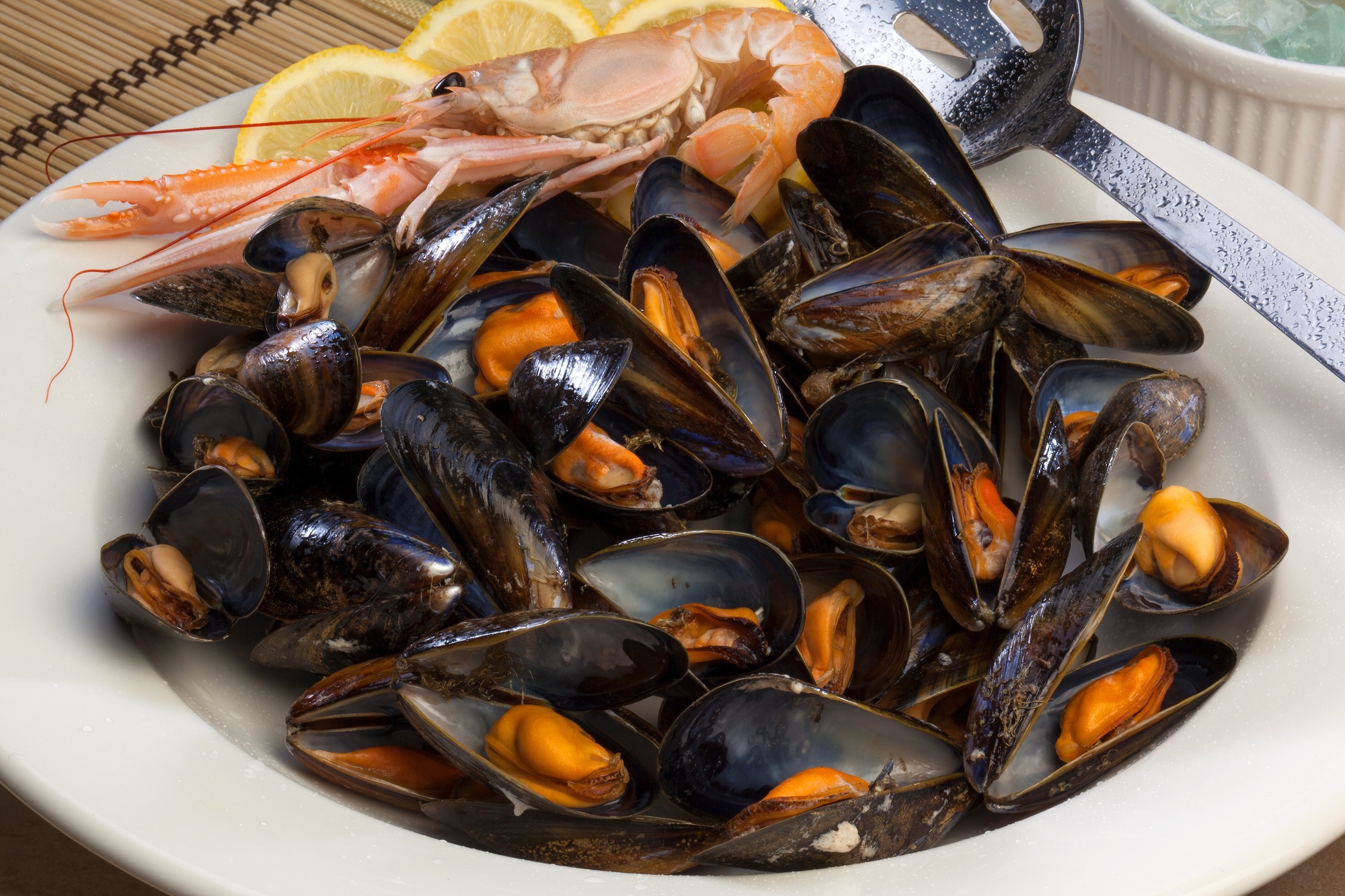 Conserver des moules cuites : 5 conseils pratiques à suivre