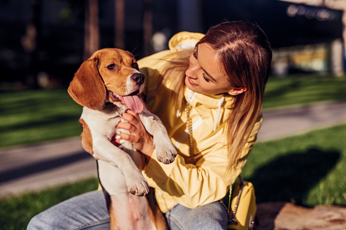 Nom De Chien Femelle Quel Pr nom Choisir Pour Une Chienne Nom De Chien Femelle Quel Pr nom Choisir Pour Une Chienne